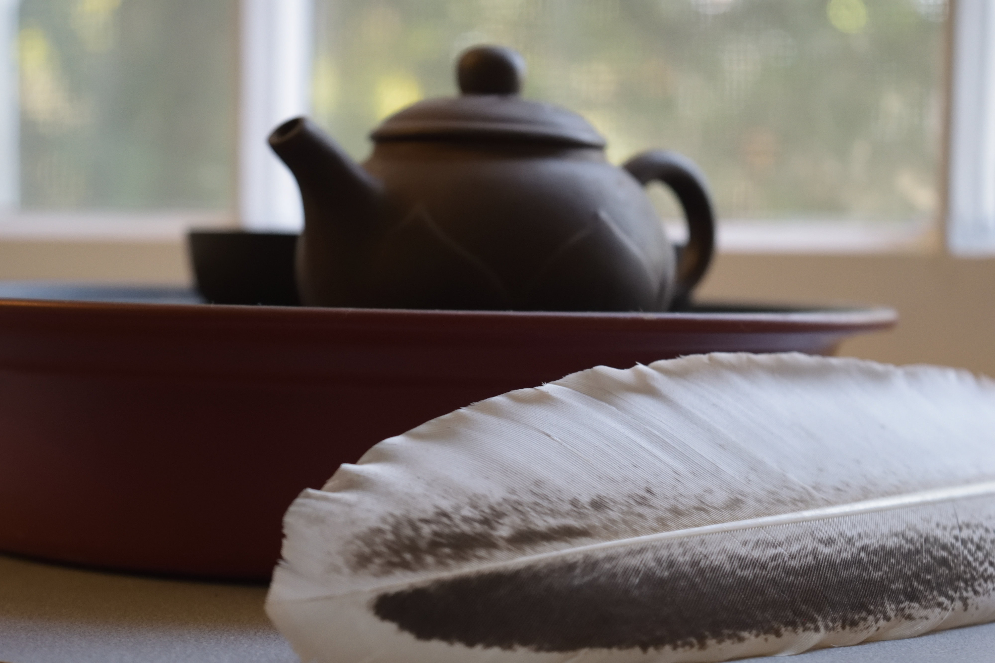 Whitewater Acupuncture – Kurt Ritchie, L.Ac., Dpl.Ac.